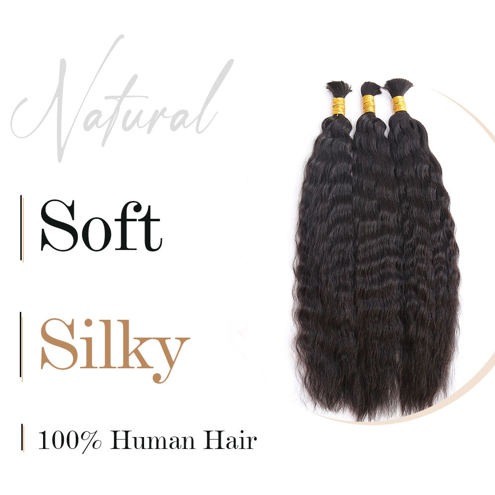 Best Wet and Wavy Human Hair for Braiding – Eayonhair