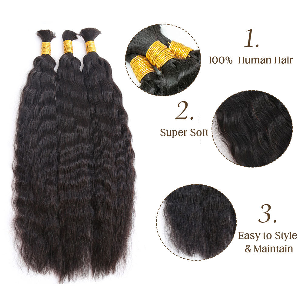 Best Wet and Wavy Human Hair for Braiding – Eayonhair