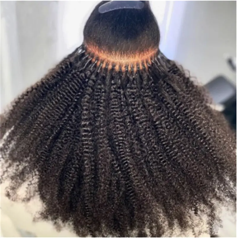 Micro Loop HAIR EXTENSION Afro Kinky Curly Human Hair – Eayonhair